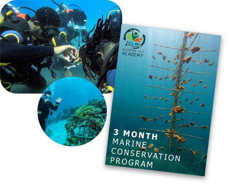 Volunteer for Marine Conservation: 3 months - Richmond Vale Academy